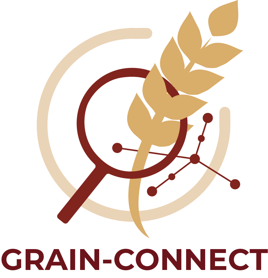 Talmélia | Mélia Mills